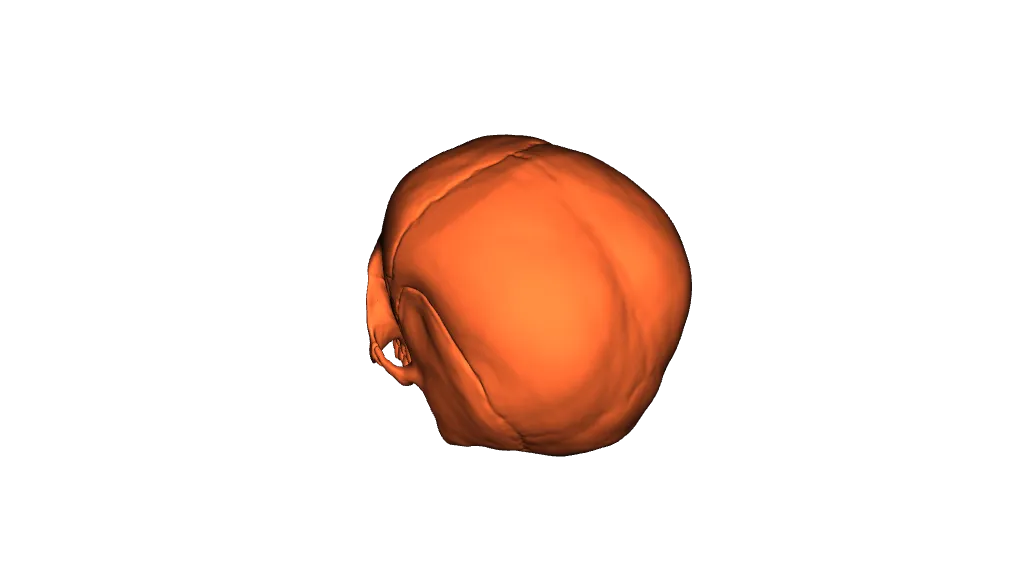 Evil Head by Handica | Download free STL model | Printables.com