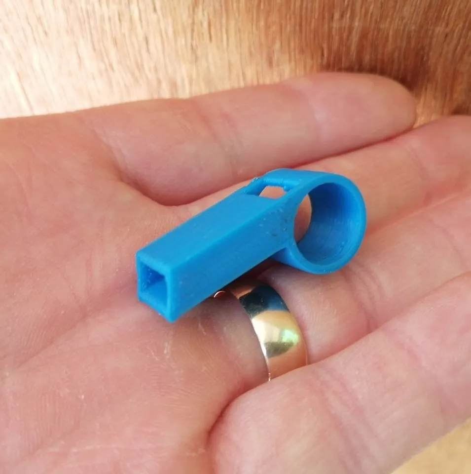 Whistle by WSM25 | Download free STL model | Printables.com