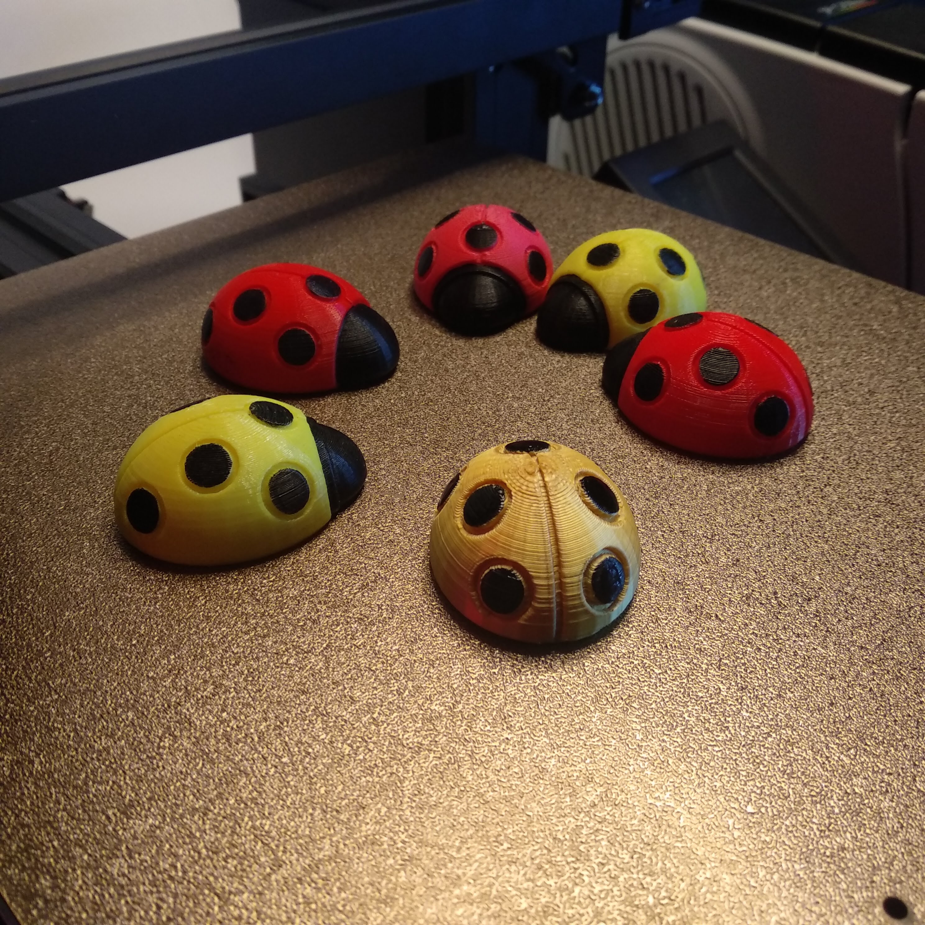 Ladybird Fridge Magnet by Neddy | Download free STL model | Printables.com