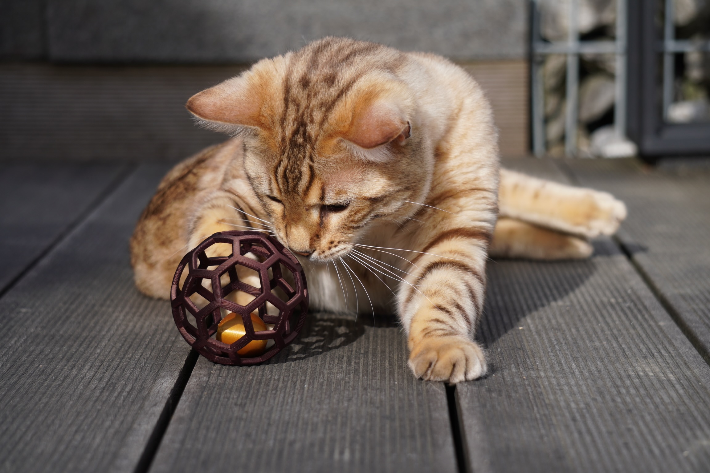 Buckyball for Pets by campy | Download free STL model | Printables.com