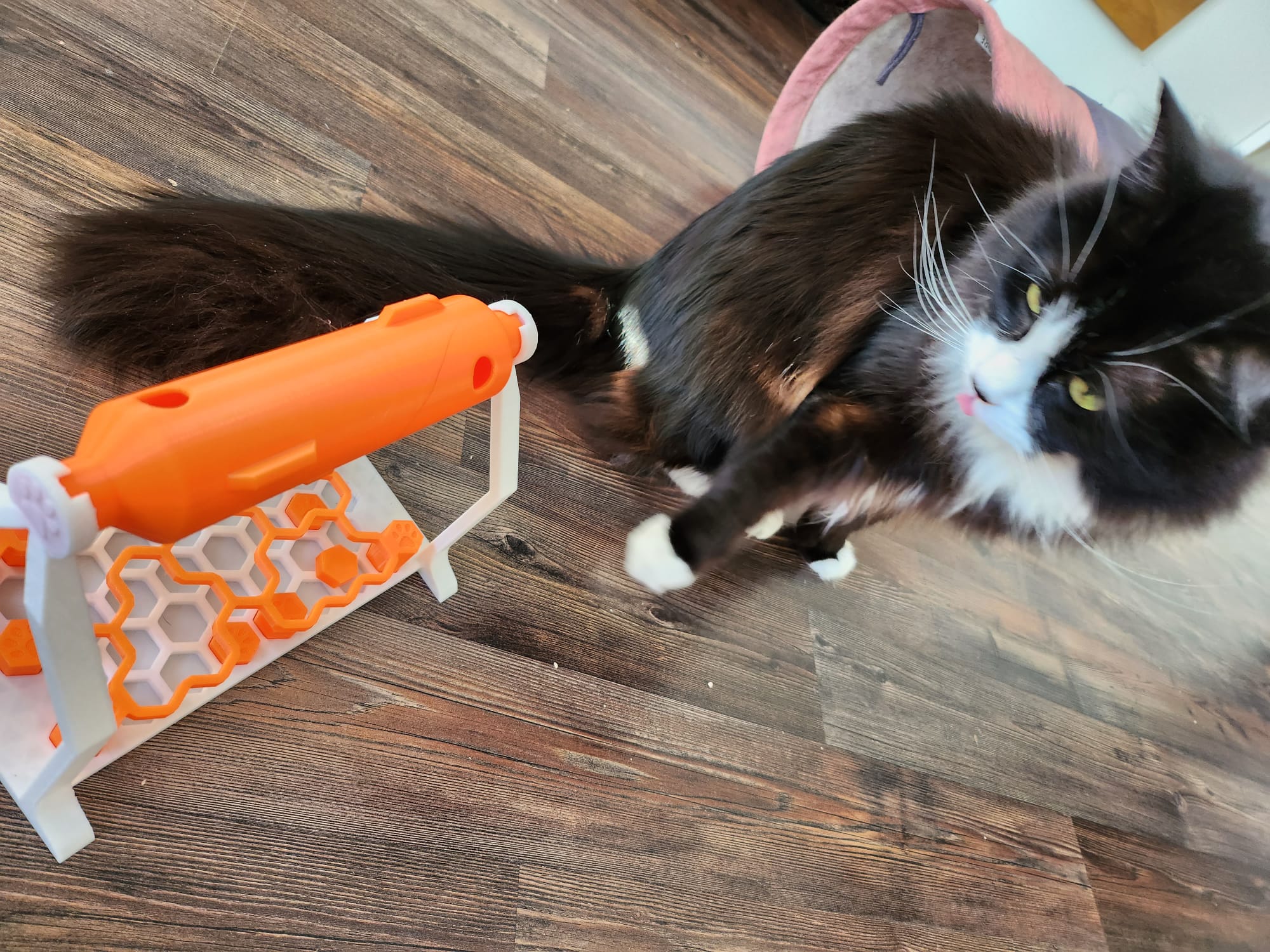 Cat Treats Dispenser Toy by Digitale Lehrerin | Download free STL model ...