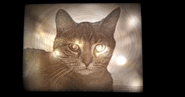 My Kitty Lithophane Light by KN16 | Download free STL model ...