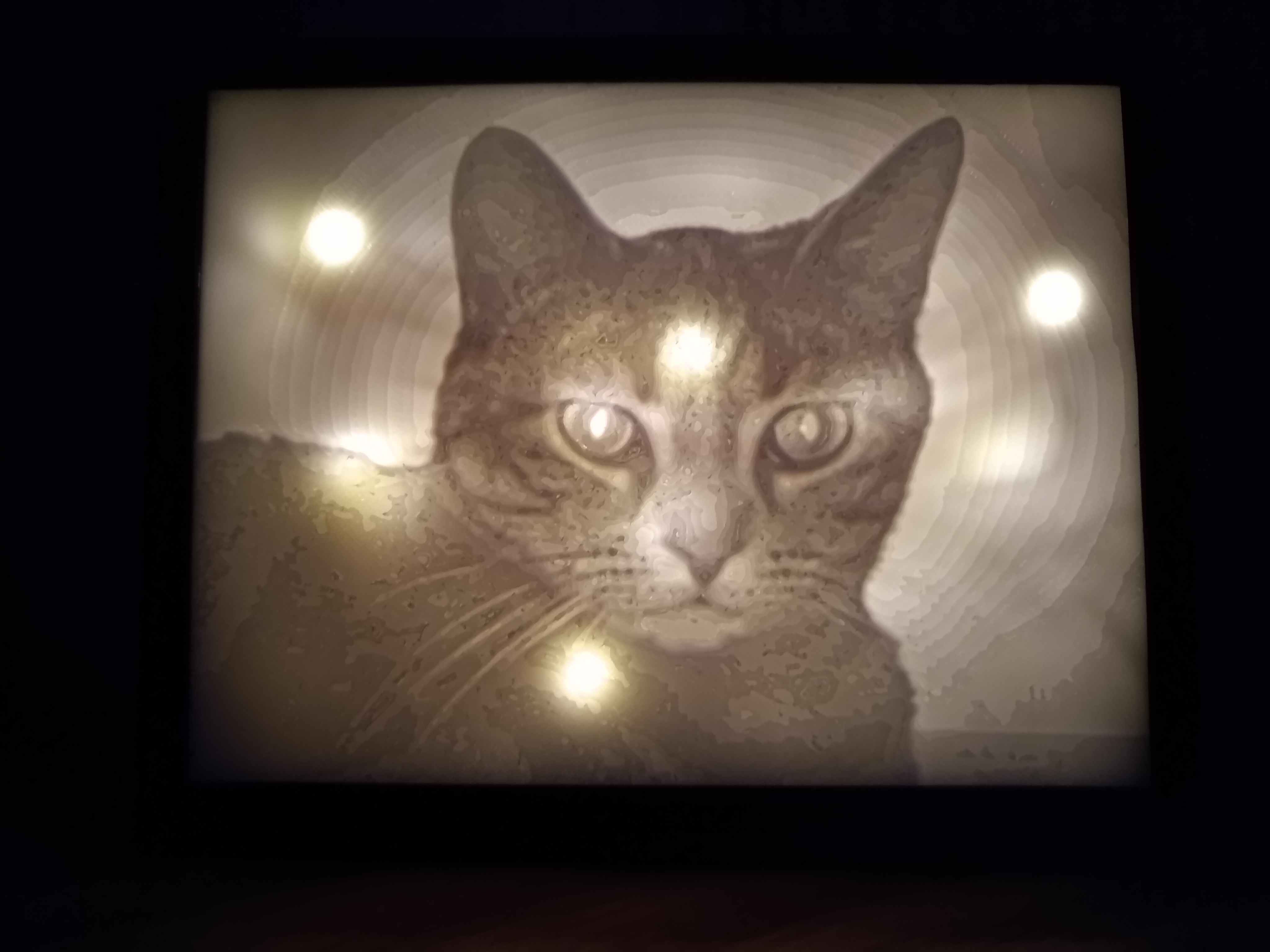 My Kitty Lithophane Light by KN16 | Download free STL model ...