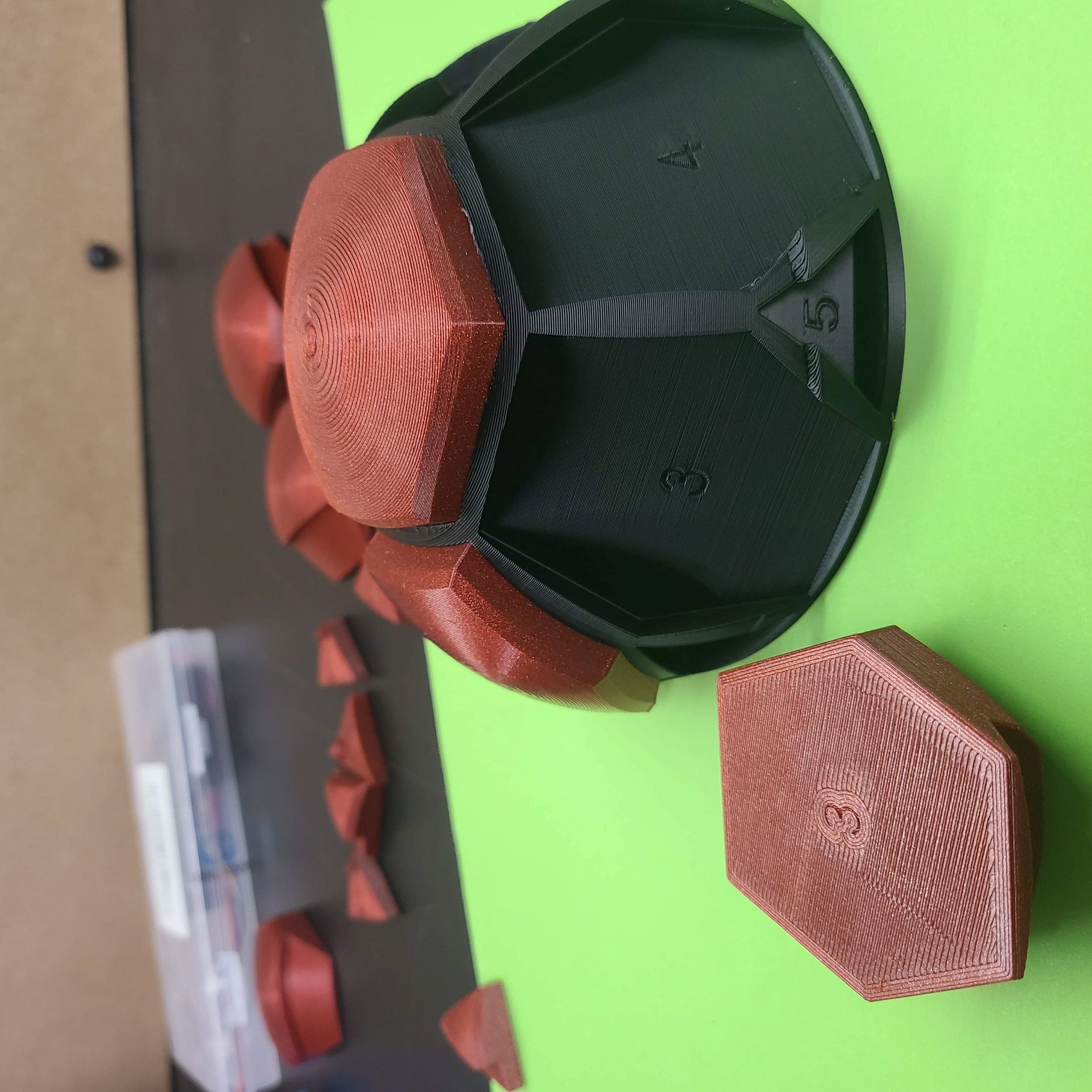 Turtle shell container by PLA-N-PA | Download free STL model ...