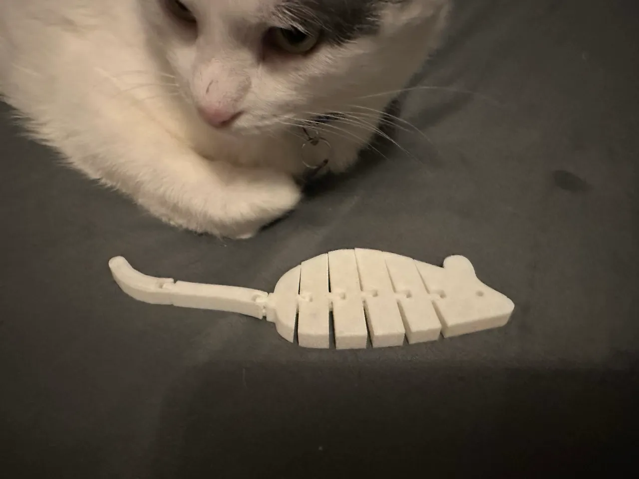 Wiggly Mouse Cat Toy by markury | Download free STL model | Printables.com
