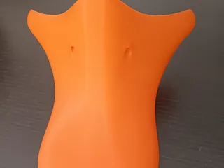 Duckbill by Marcnesium87 | Download free STL model | Printables.com