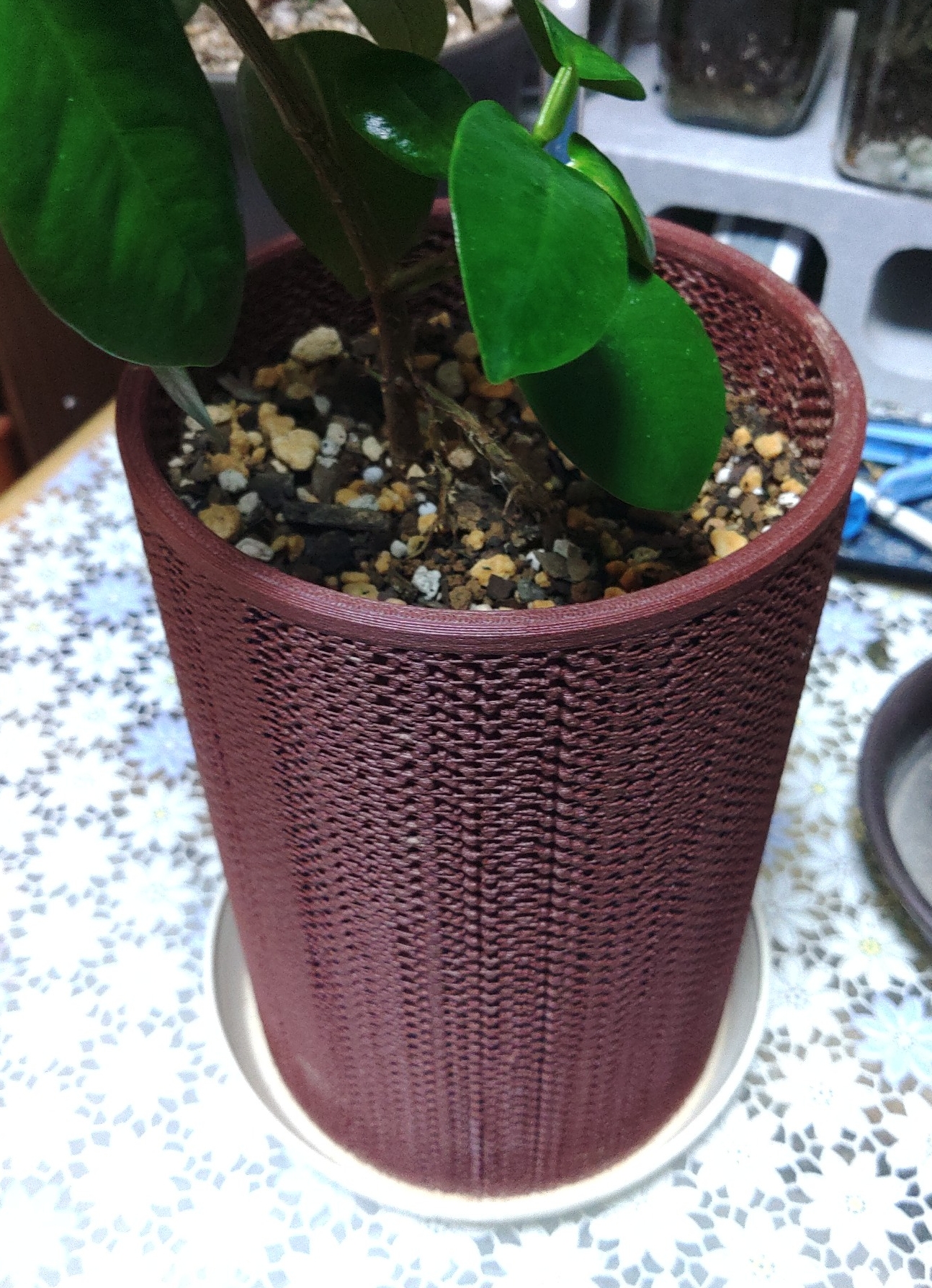 Cylindrical mesh pot by TKS | Download free STL model | Printables.com