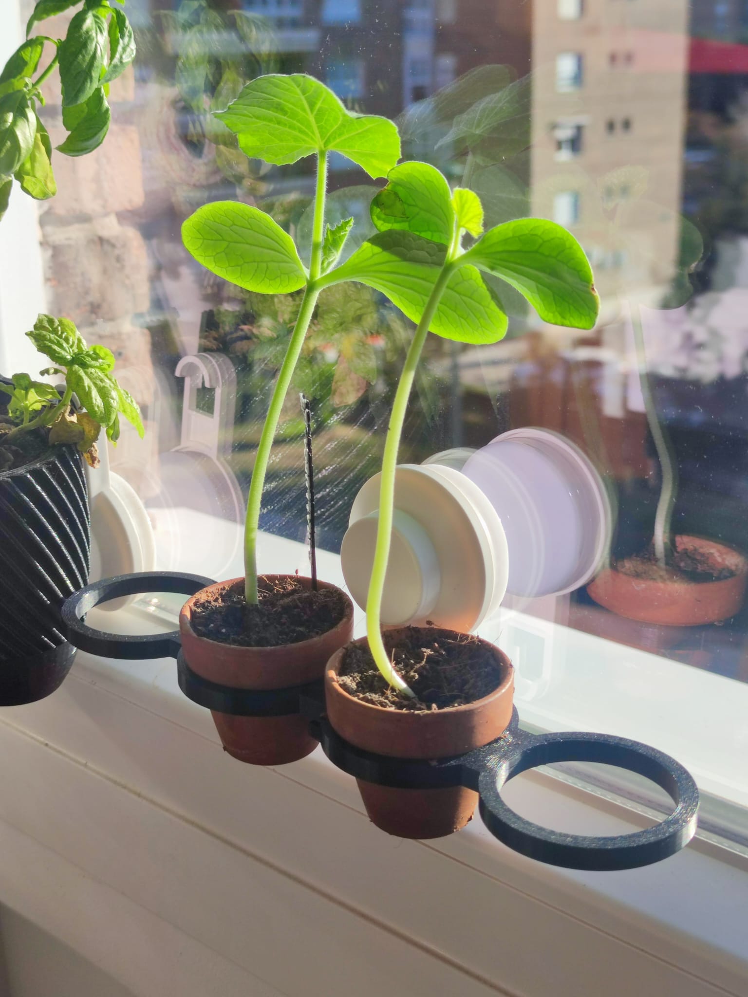 Small pot rings for window (Ikea Tisken) by Alejandro Relaño | Download ...