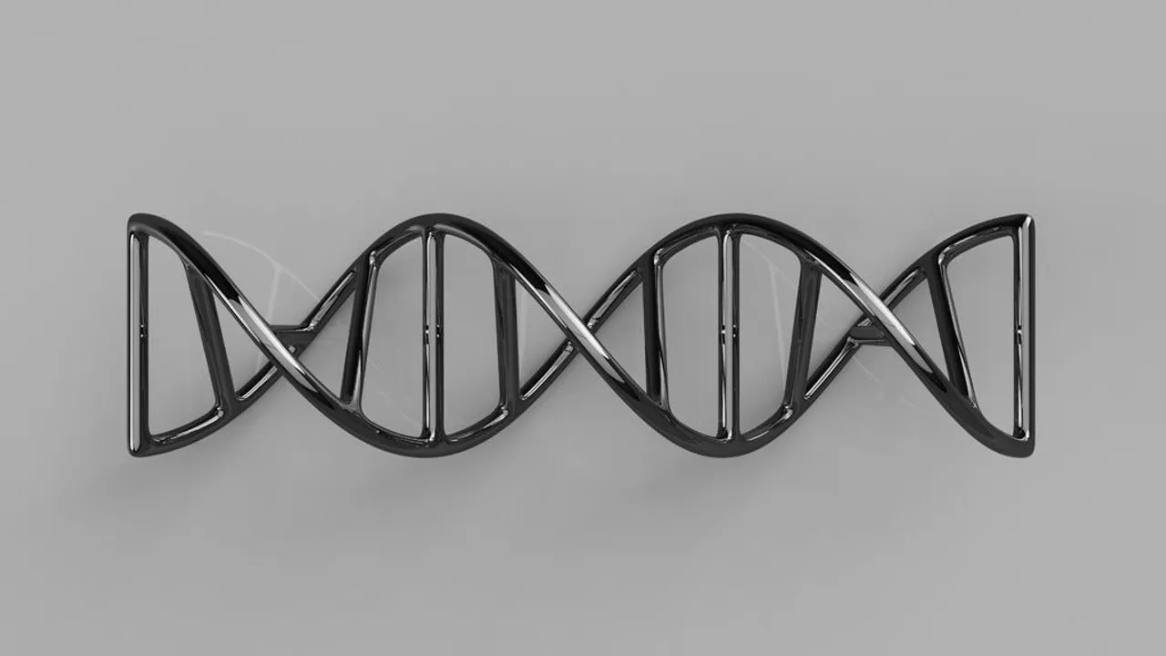 DNA chain by BajTech | Download free STL model | Printables.com