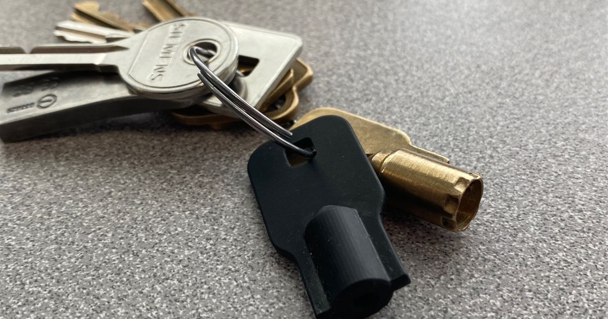 Double-Bit Enclosure Key (3mm) for Electrical Cabinet by Freedo ...