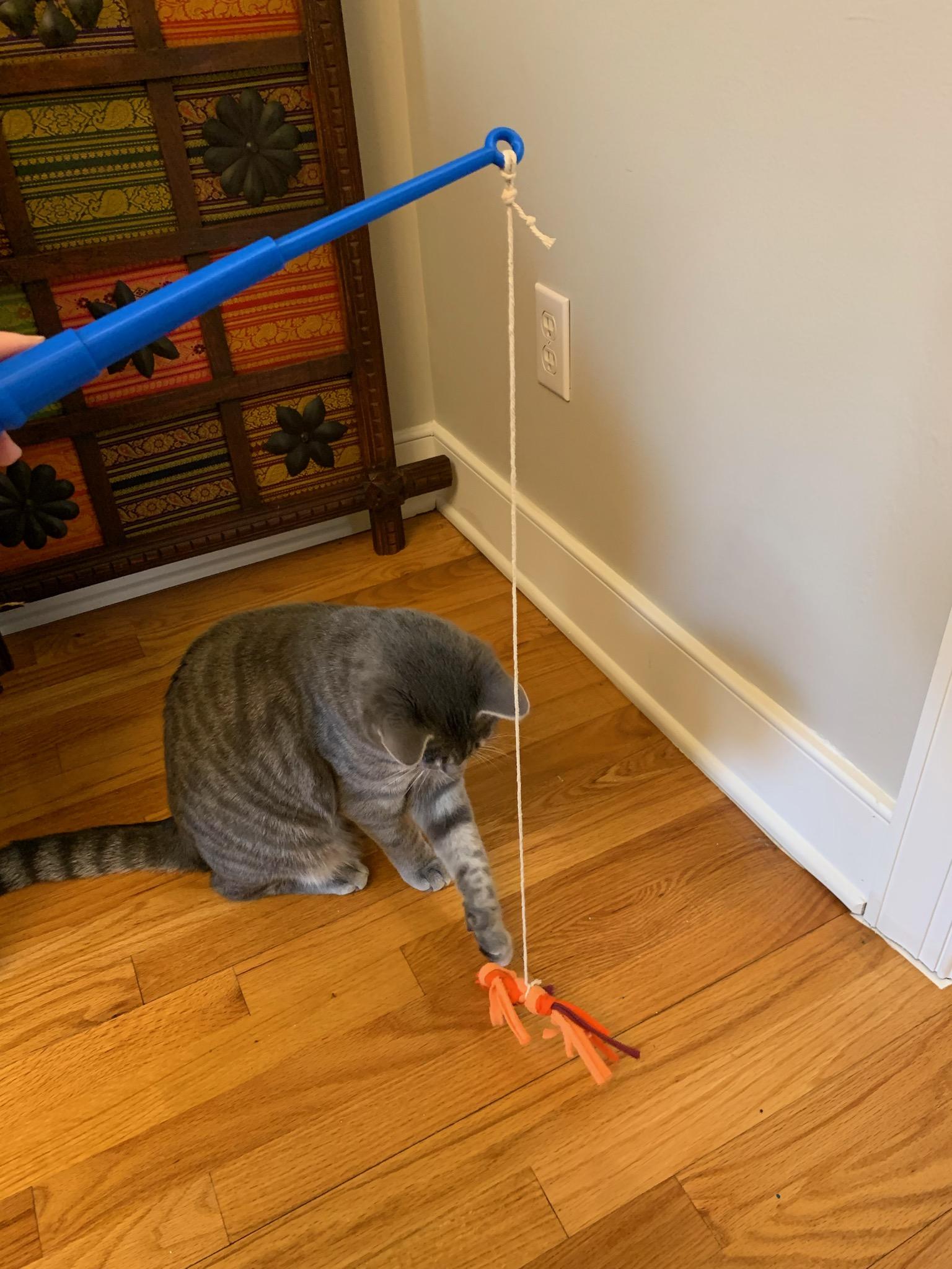 Telescoping Cat Wand by Imagine That | Download free STL model ...