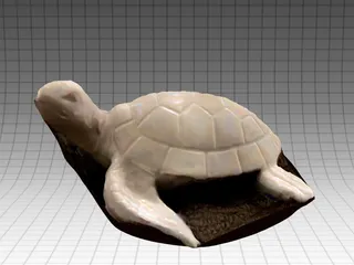 Turtle Scan by XShadeTreeX | Download free STL model | Printables.com