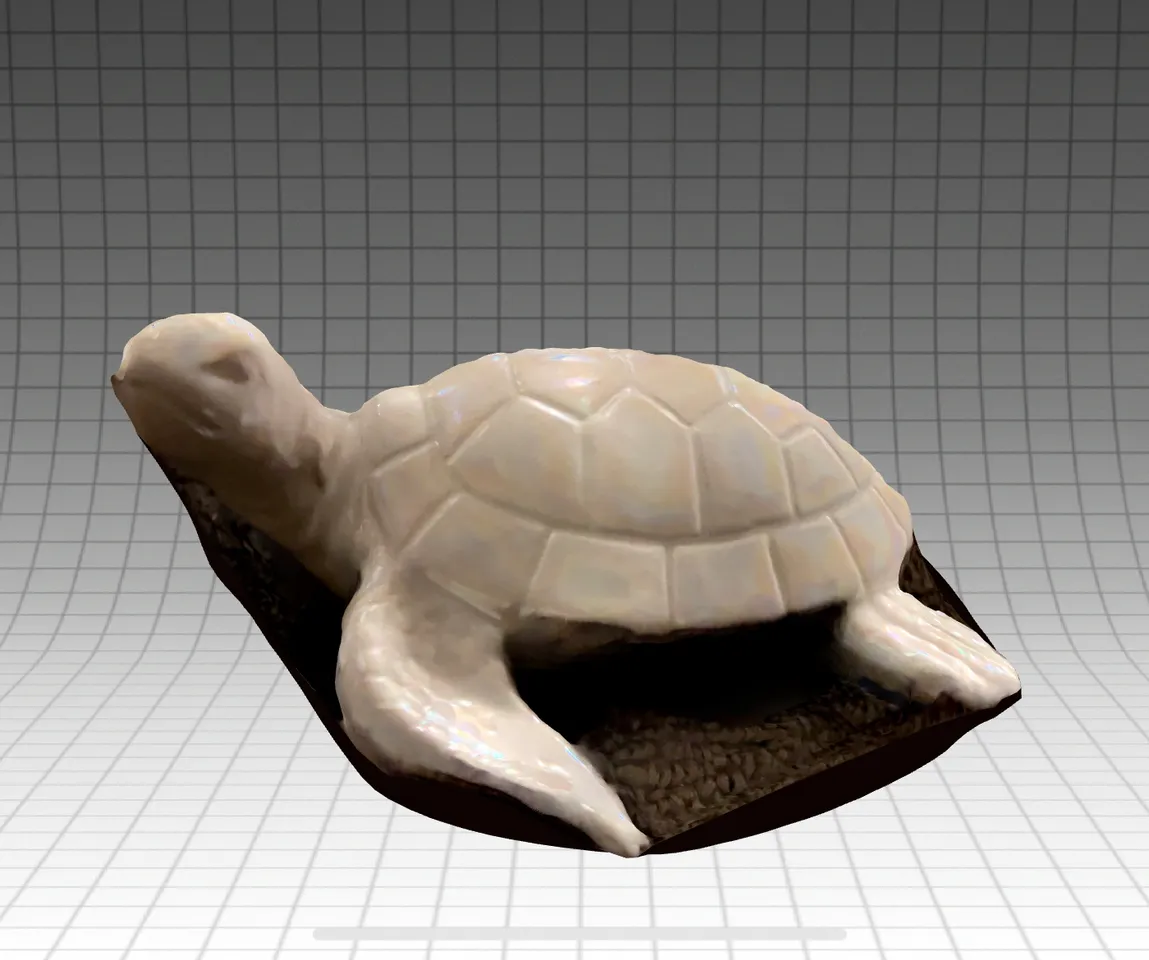 Turtle Scan by XShadeTreeX | Download free STL model | Printables.com
