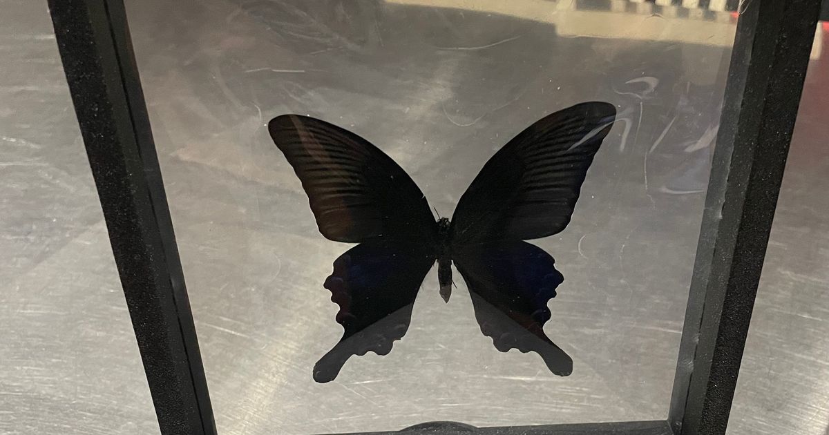 Floating Frame by Blinque | Download free STL model | Printables.com