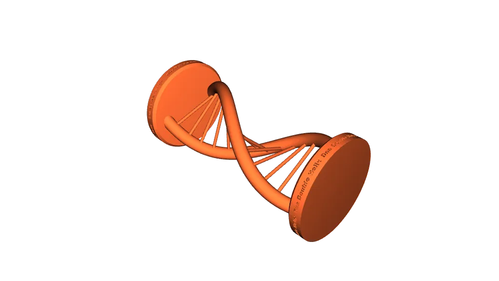 Dna model by bossgun5050 | Download free STL model | Printables.com