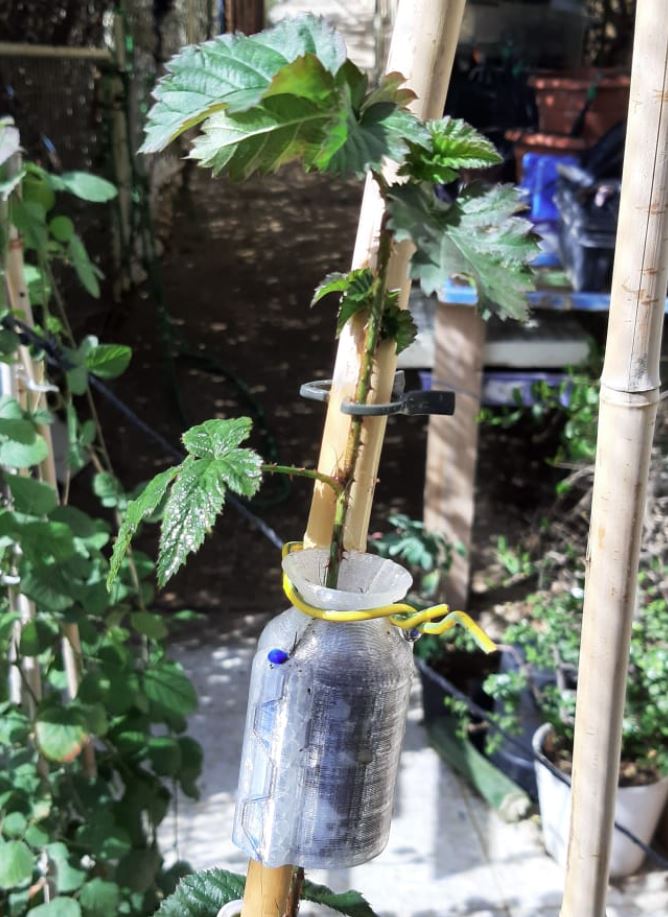 Air Layering Pot (no support) by G4ZO | Download free STL model ...