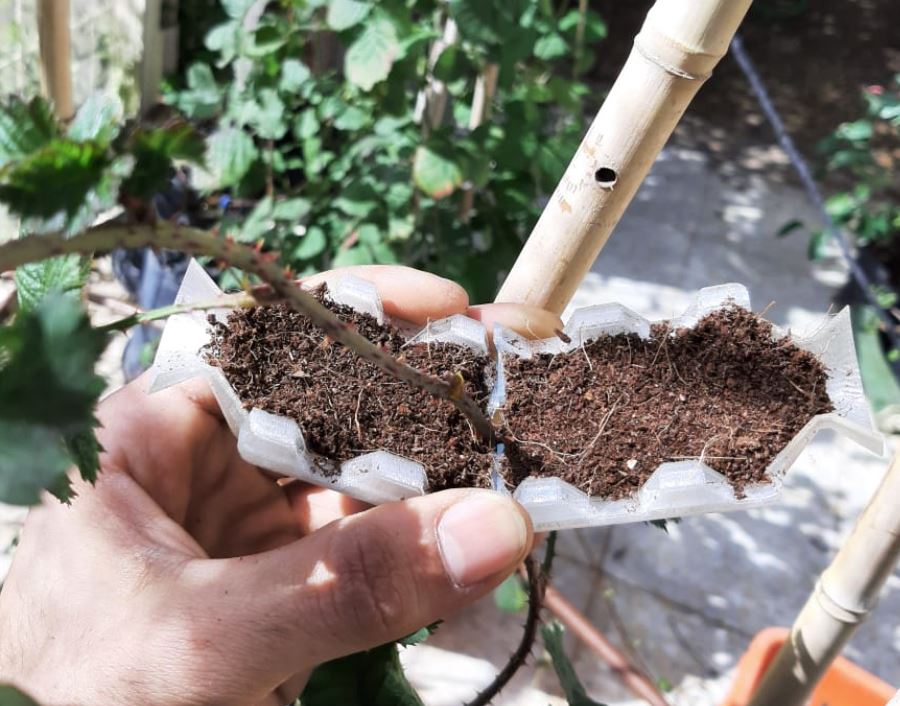 Air Layering Pot (no support) by G4ZO | Download free STL model ...