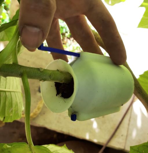 Air Layering Pot (no support) by G4ZO | Download free STL model ...