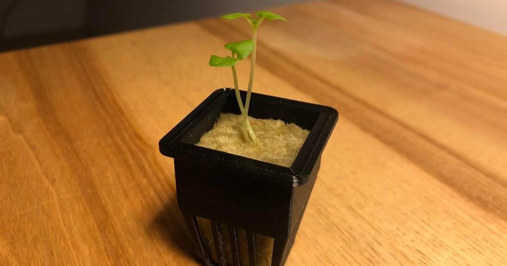 Net cups for 1 inch (2,5 cm) rockwool cubes by Oleksii Zelivianskyi ...