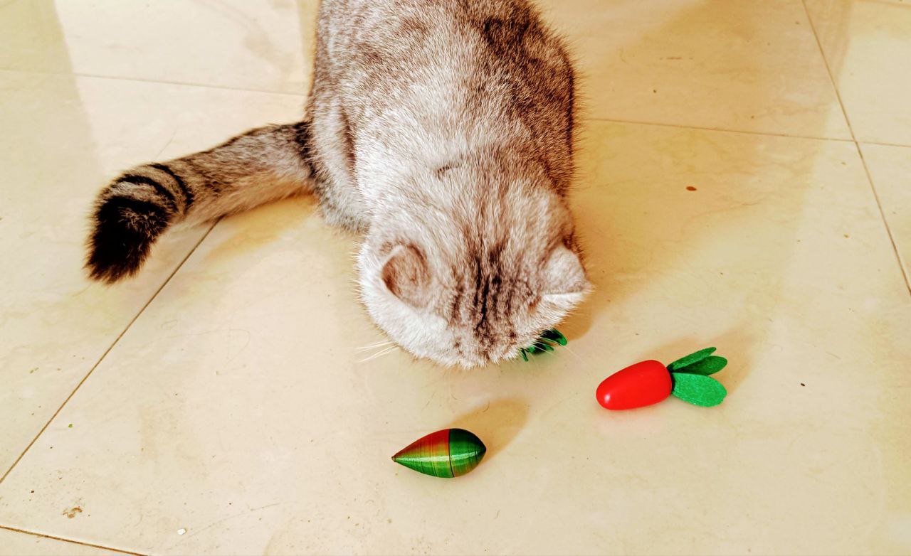 cat toy par samlyn696 | Téléchargez gratuitement un modèle STL ...