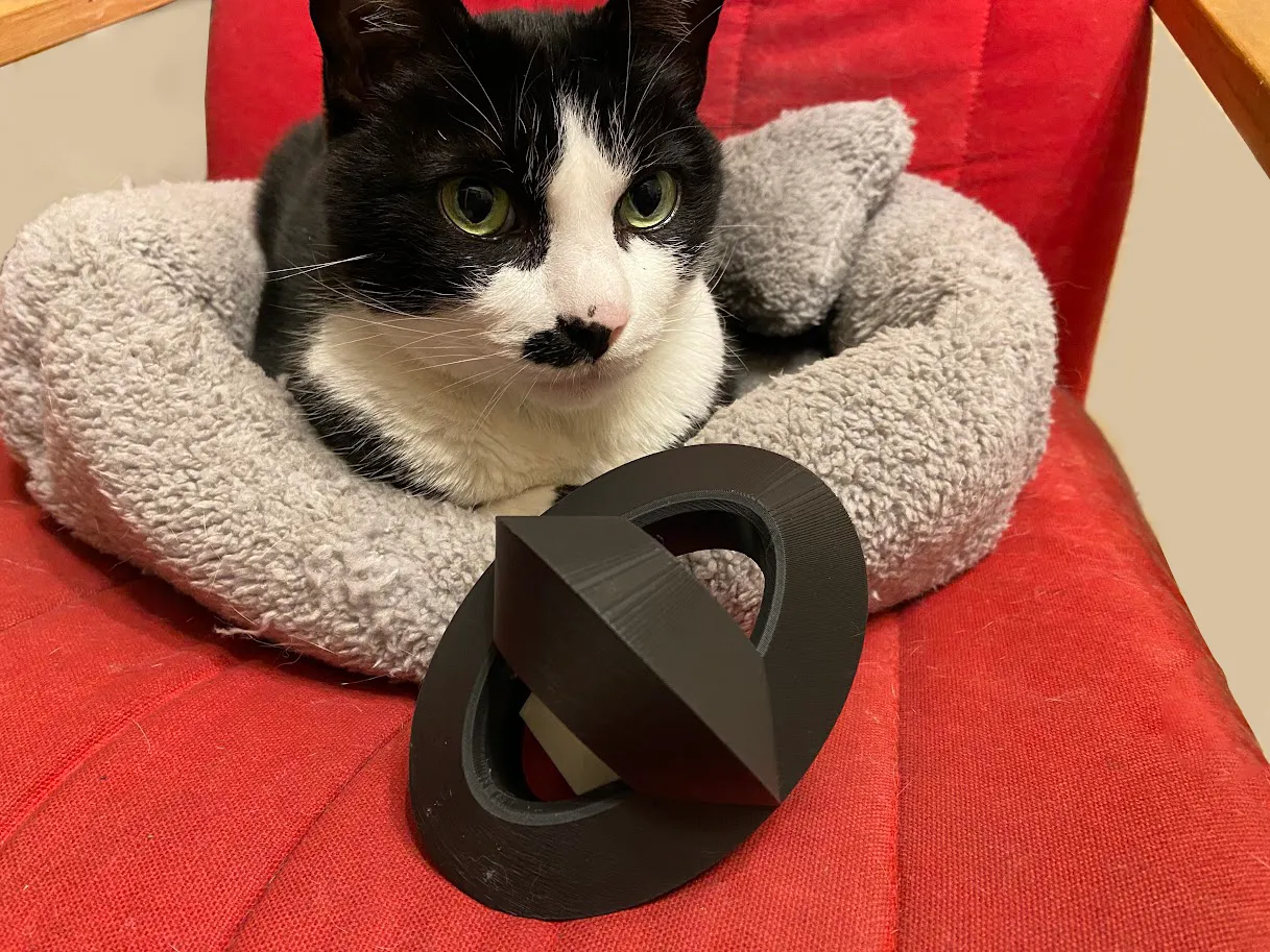 Hallow Steinmetz solid rolling cat toy by Rhylo Night | Download free ...