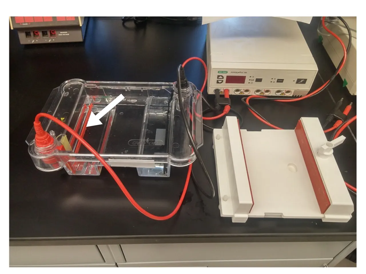 Elctrophoresis holder for anode/cathode wire by SBP | Download free STL ...