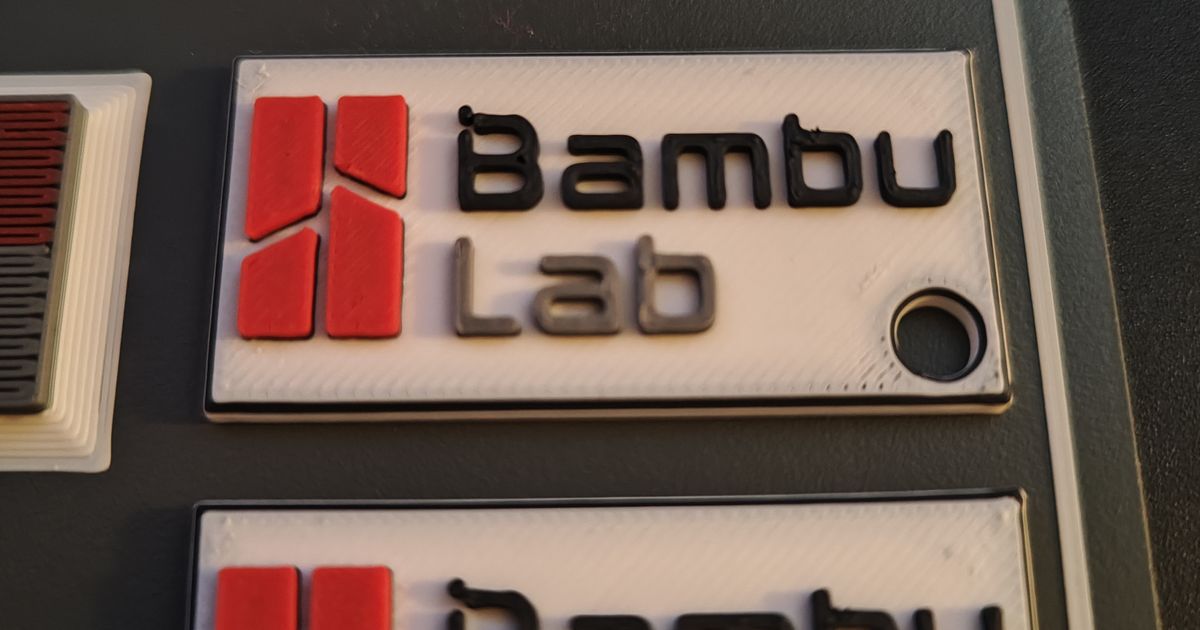 Bambu Keychain v1.1 by Anon | Download free STL model | Printables.com