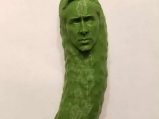 Picholas cage magnet by Juiceboxer | Download free STL model ...