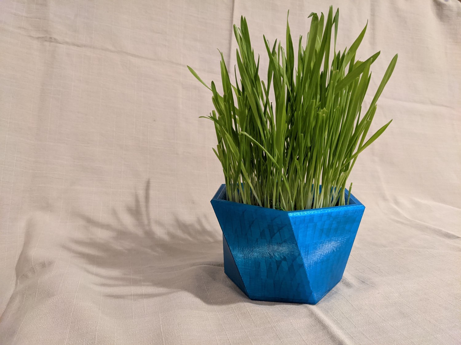 Cat grass pot / Flower pot by Antipode | Download free STL model ...