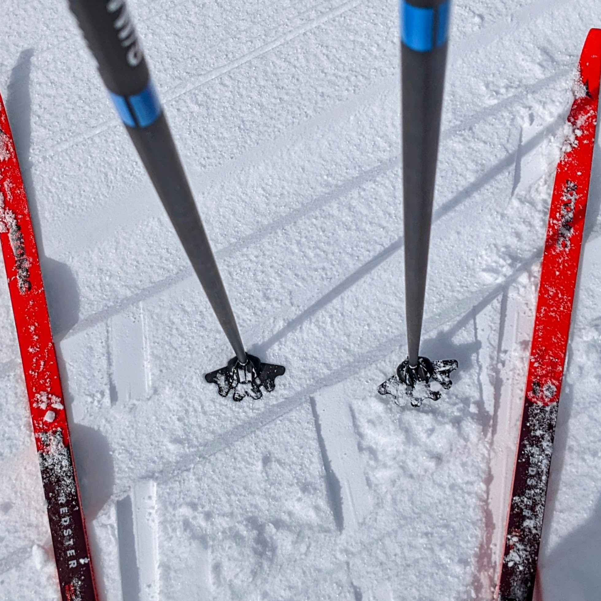 Soft Snow Baskets for Salomon Ski Poles by MY | Download free STL model ...