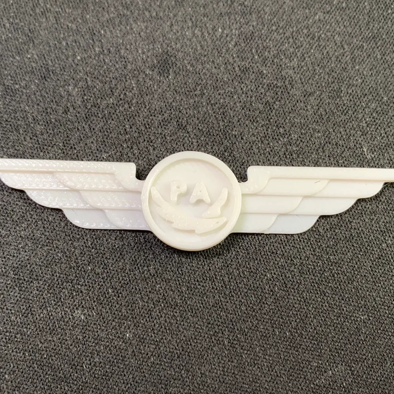 Pilot Wings Badge