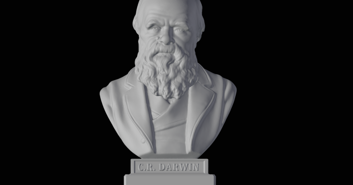 Charles Darwin bust by Antoine | Download free STL model | Printables.com