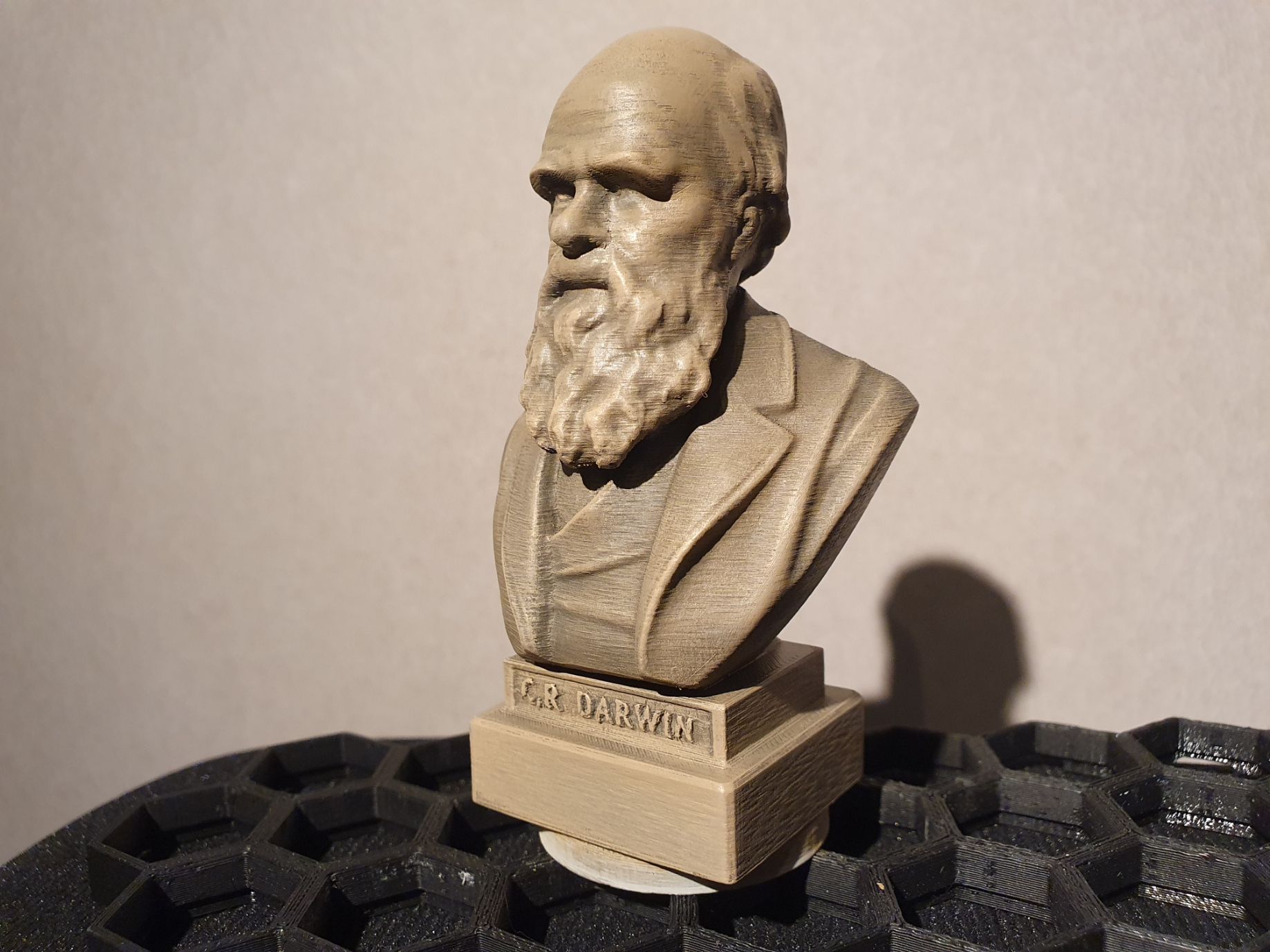 Charles Darwin bust by Antoine | Download free STL model | Printables.com