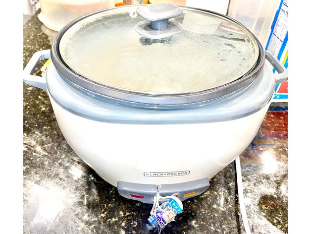 iCooker - Smart Controller for Rice Cookers - Enclosure printed with ...