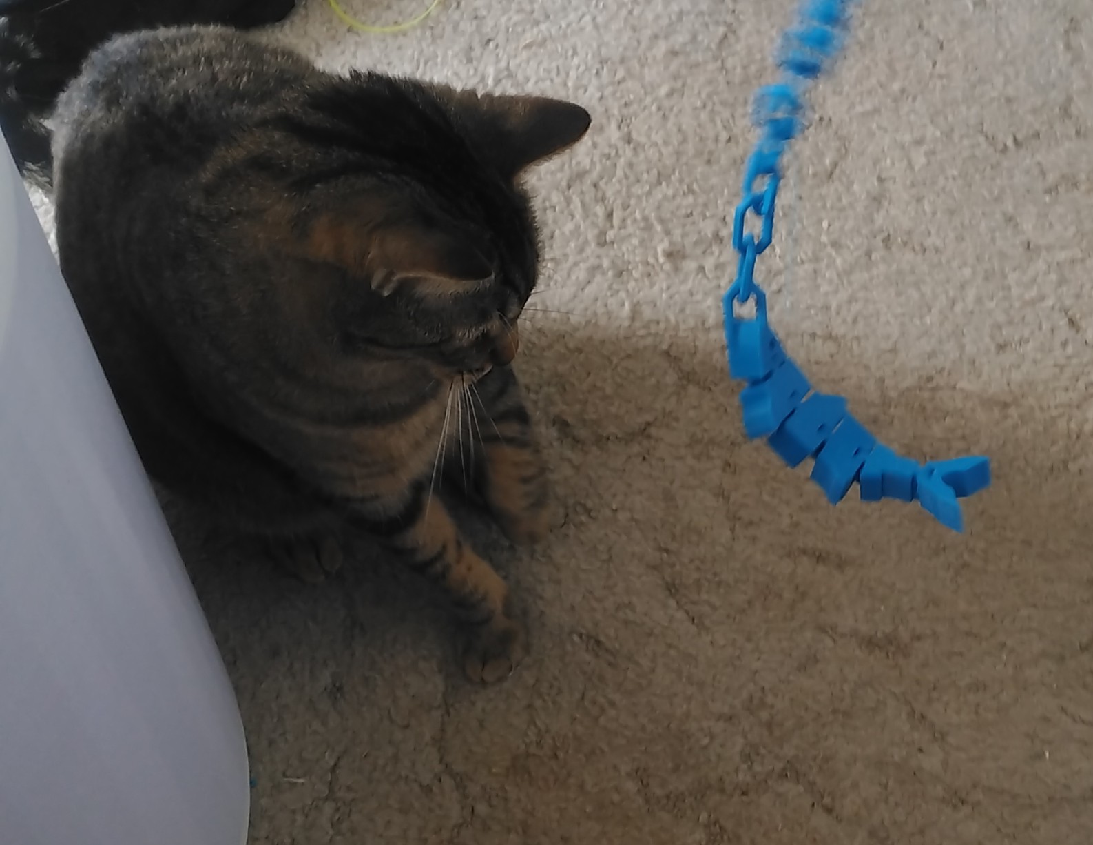 Fish Chain Cat Toy print in place - Challenging Print by Nerys ...