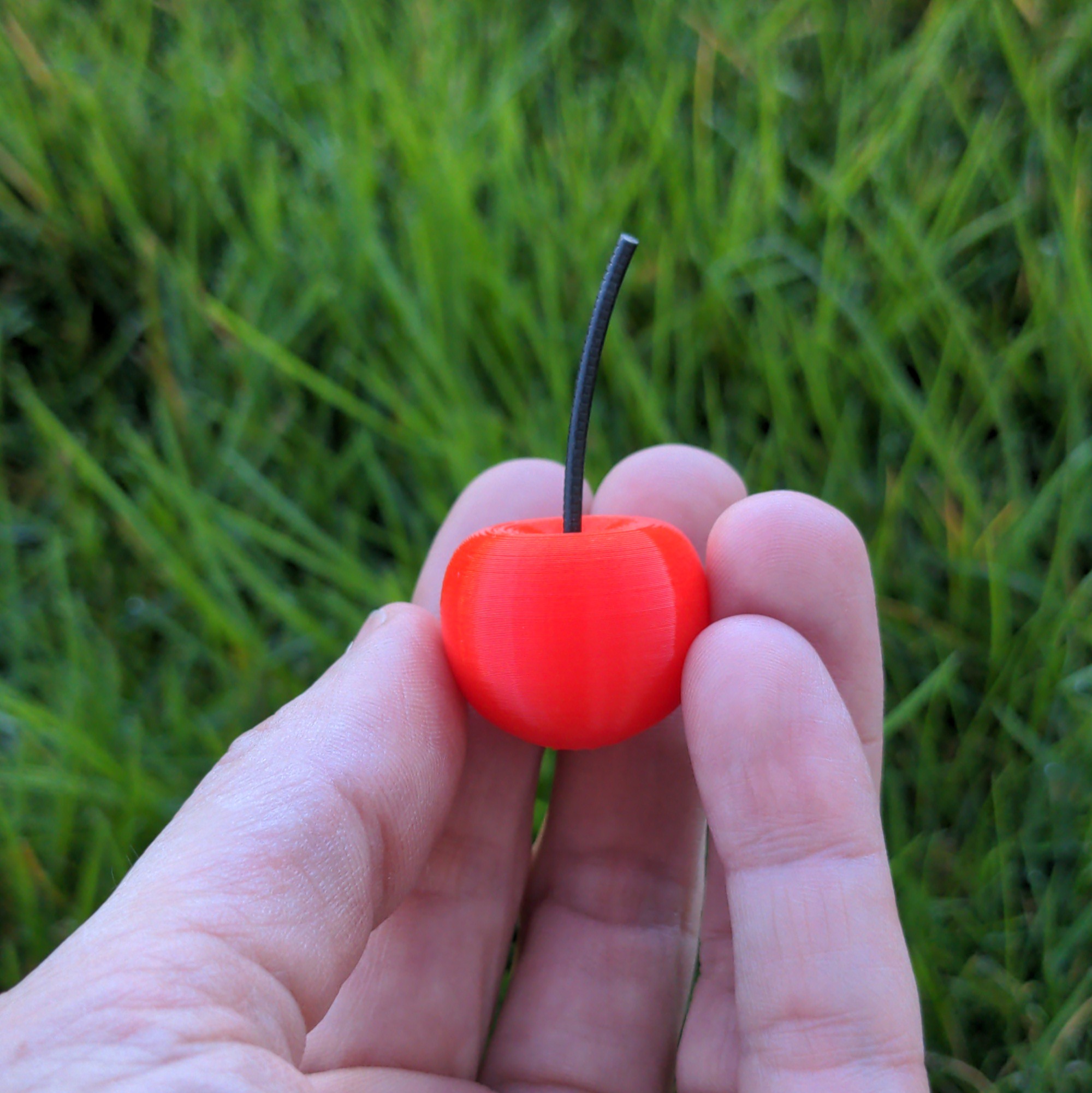 Cherry by cdc | Download free STL model | Printables.com