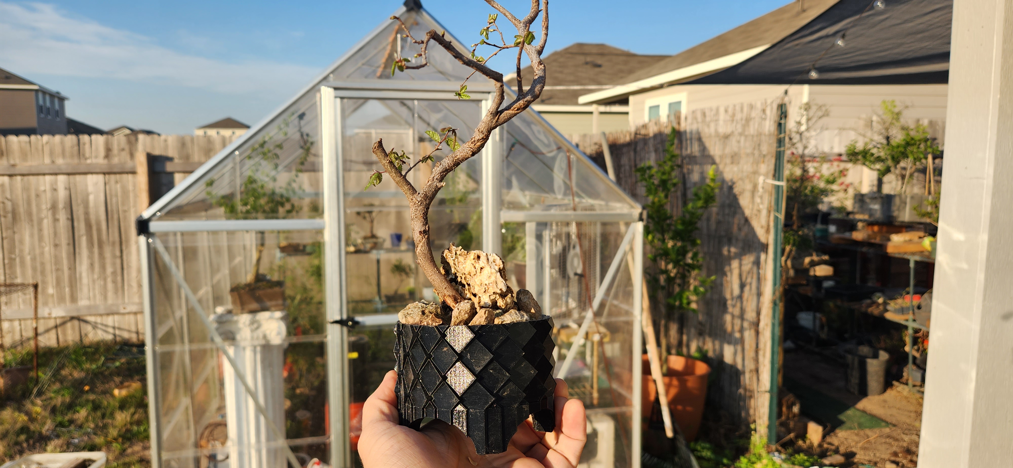 Dragon Scale Garden Pot Remix for Bonsai! by Carlos Bennett | Download ...