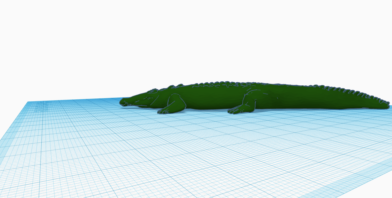 Alligator by ShinyEnforcer | Download free STL model | Printables.com