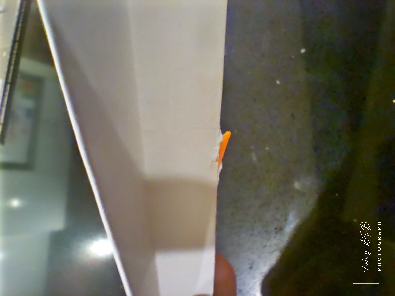 Turbo Paper Plane Mod by TBII78 | Download free STL model | Printables.com