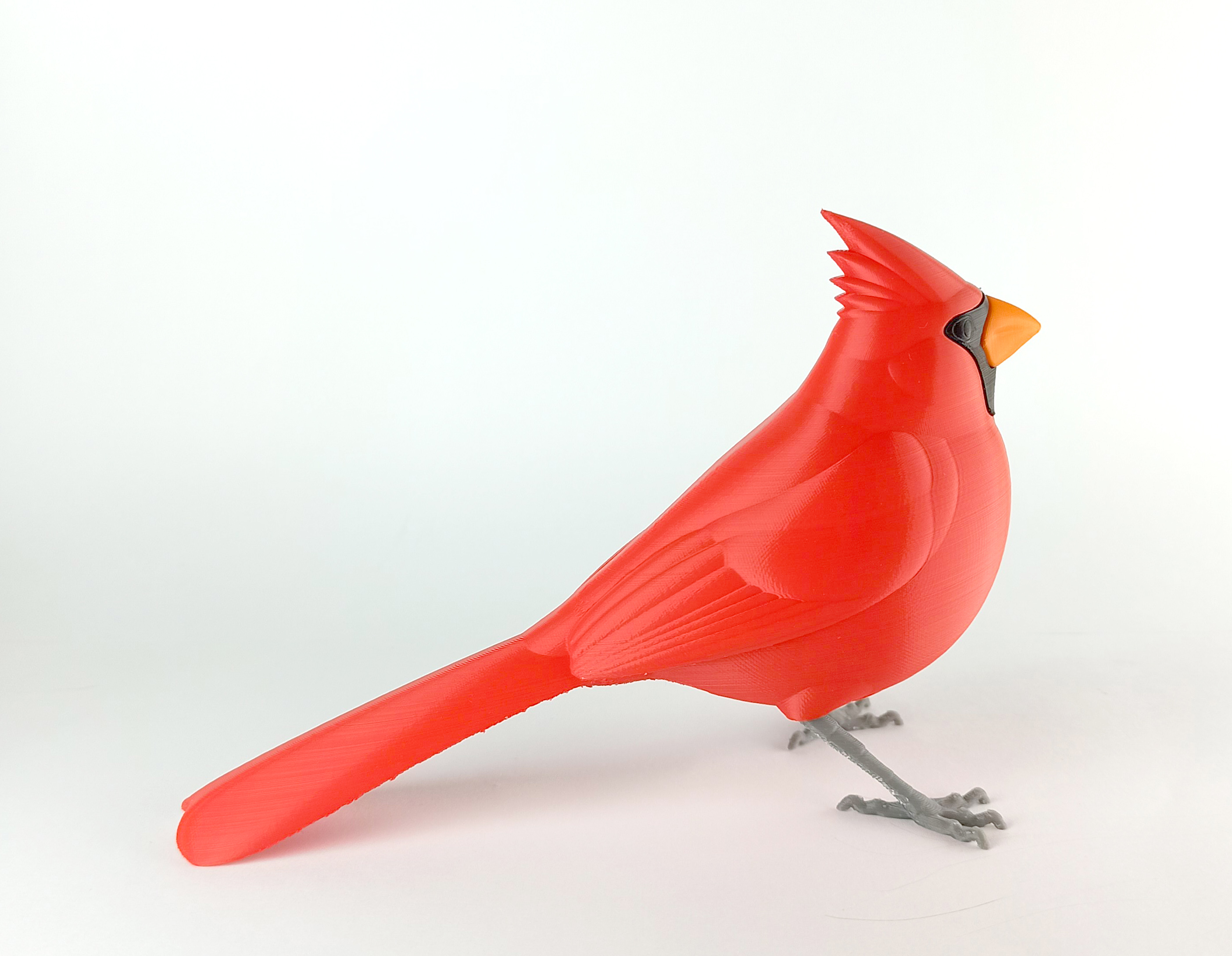 Northern Cardinal "puzzle" by GreenCopper | Download free STL model ...