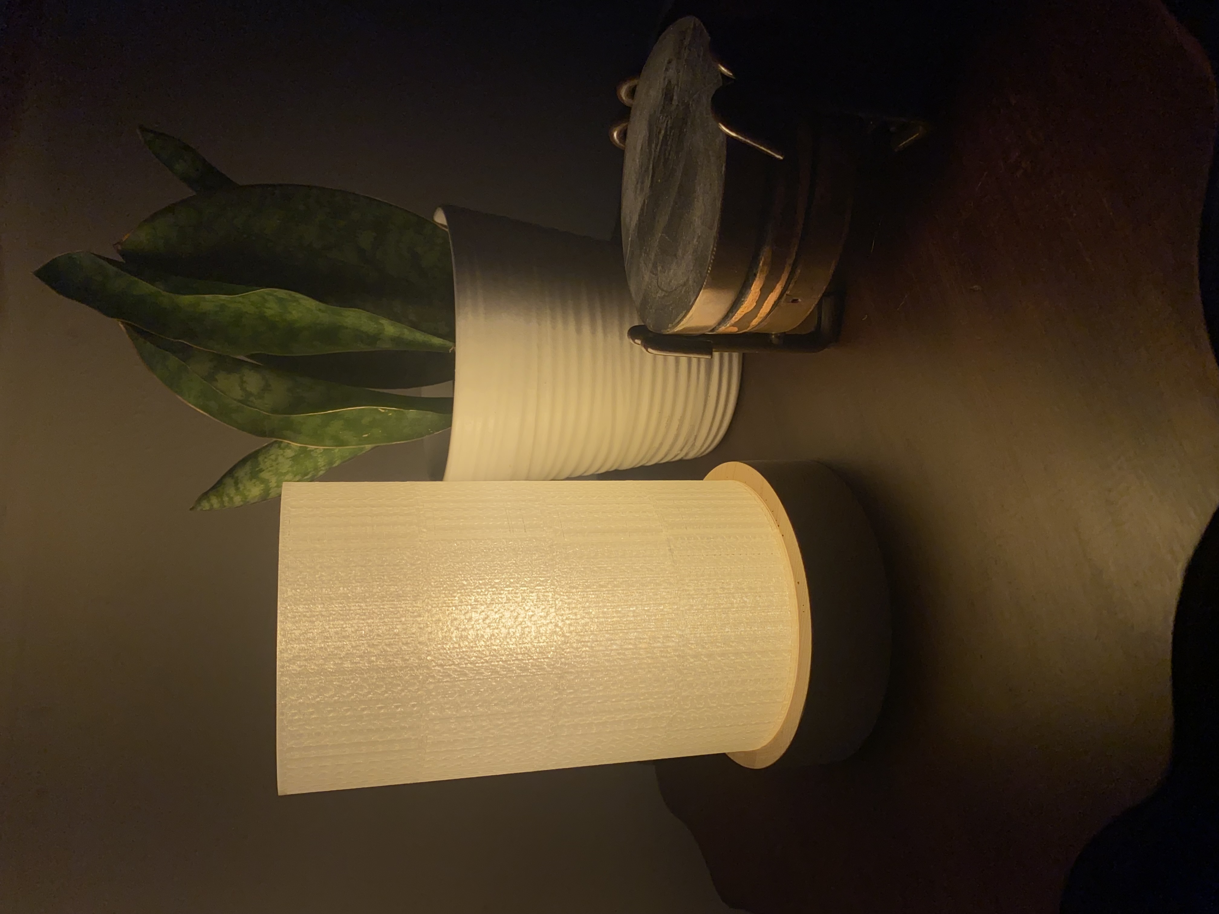 Lamp Shade by Doakley_42 | Download free STL model | Printables.com