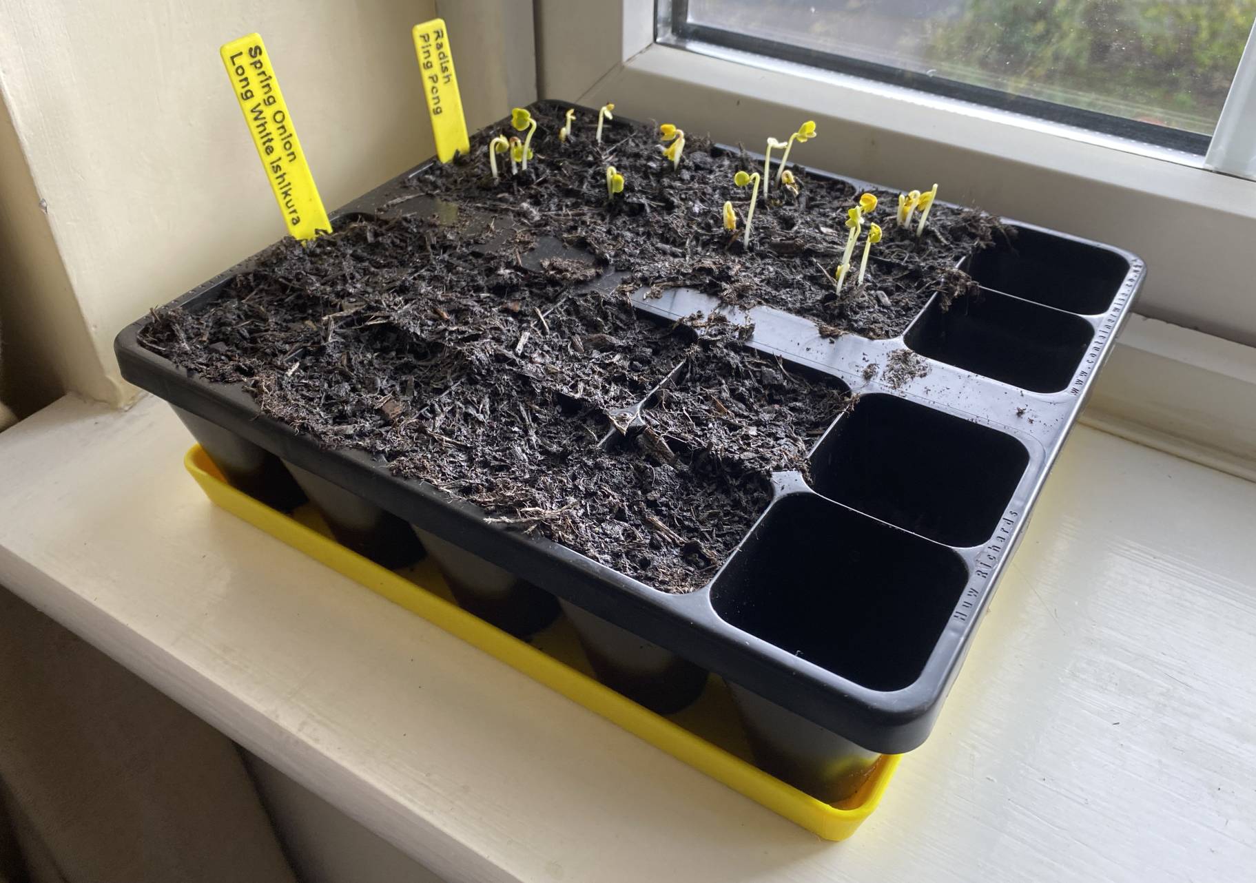 Water trays for Huw Richards HR20 and HR10 Seed ModuleTrays by ChrisG ...