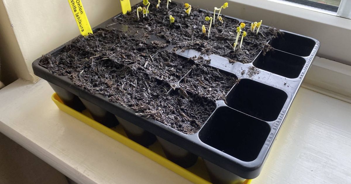 Water trays for Huw Richards HR20 and HR10 Seed ModuleTrays by ChrisG ...