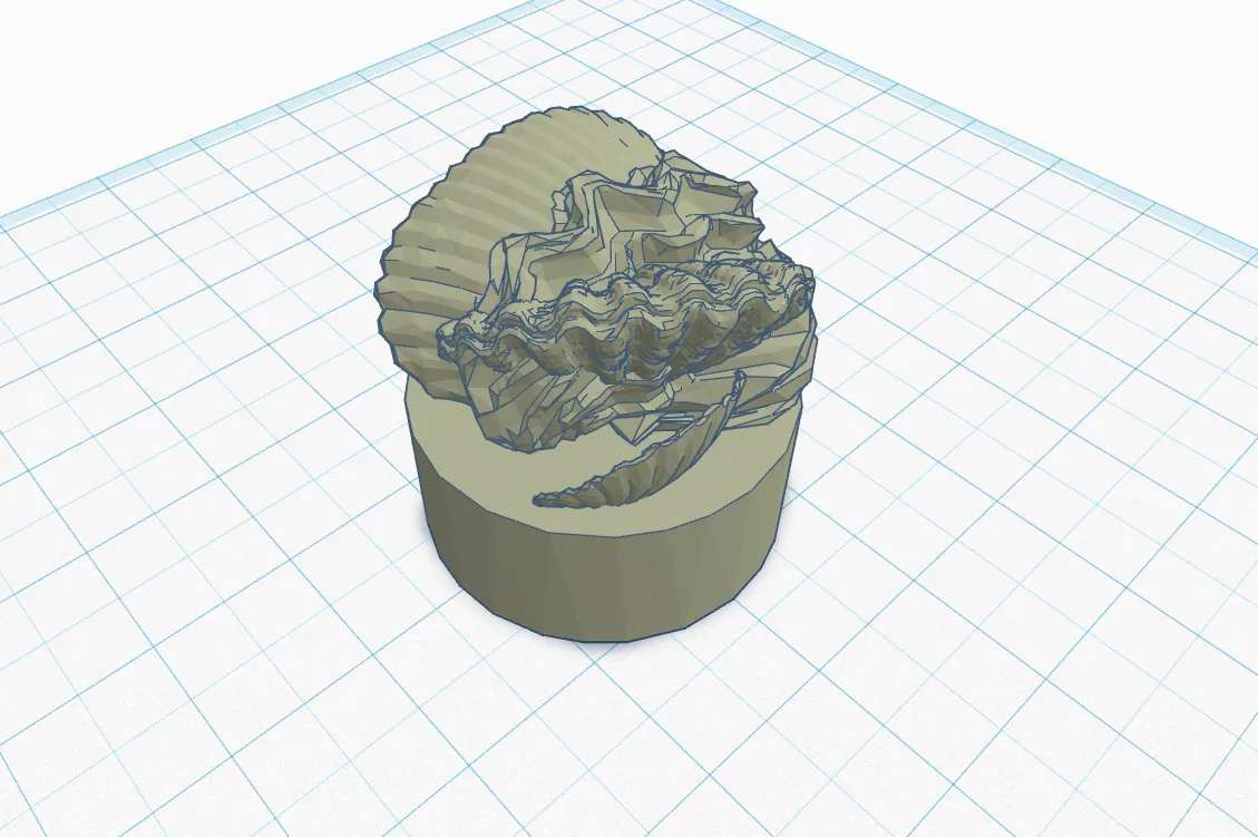 Seashell Trophy by BasilDemFlint | Download free STL model | Printables.com