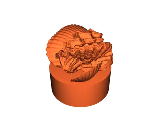Seashell Trophy by BasilDemFlint | Download free STL model | Printables.com