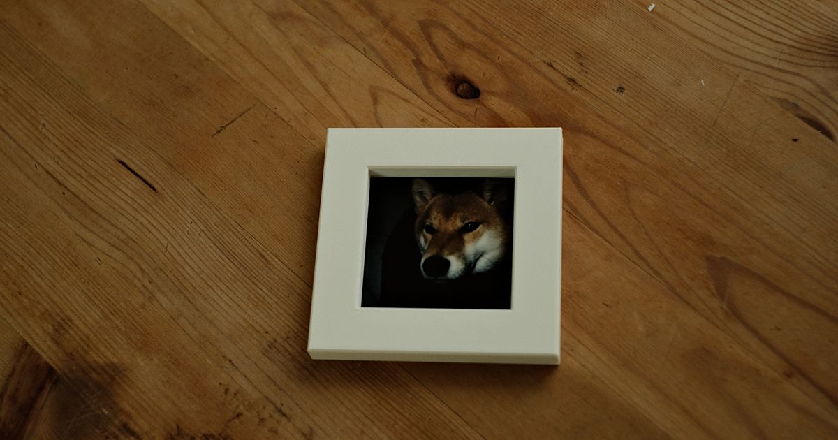 Fuji Instax Square Frame by pasq | Download free STL model | Printables.com