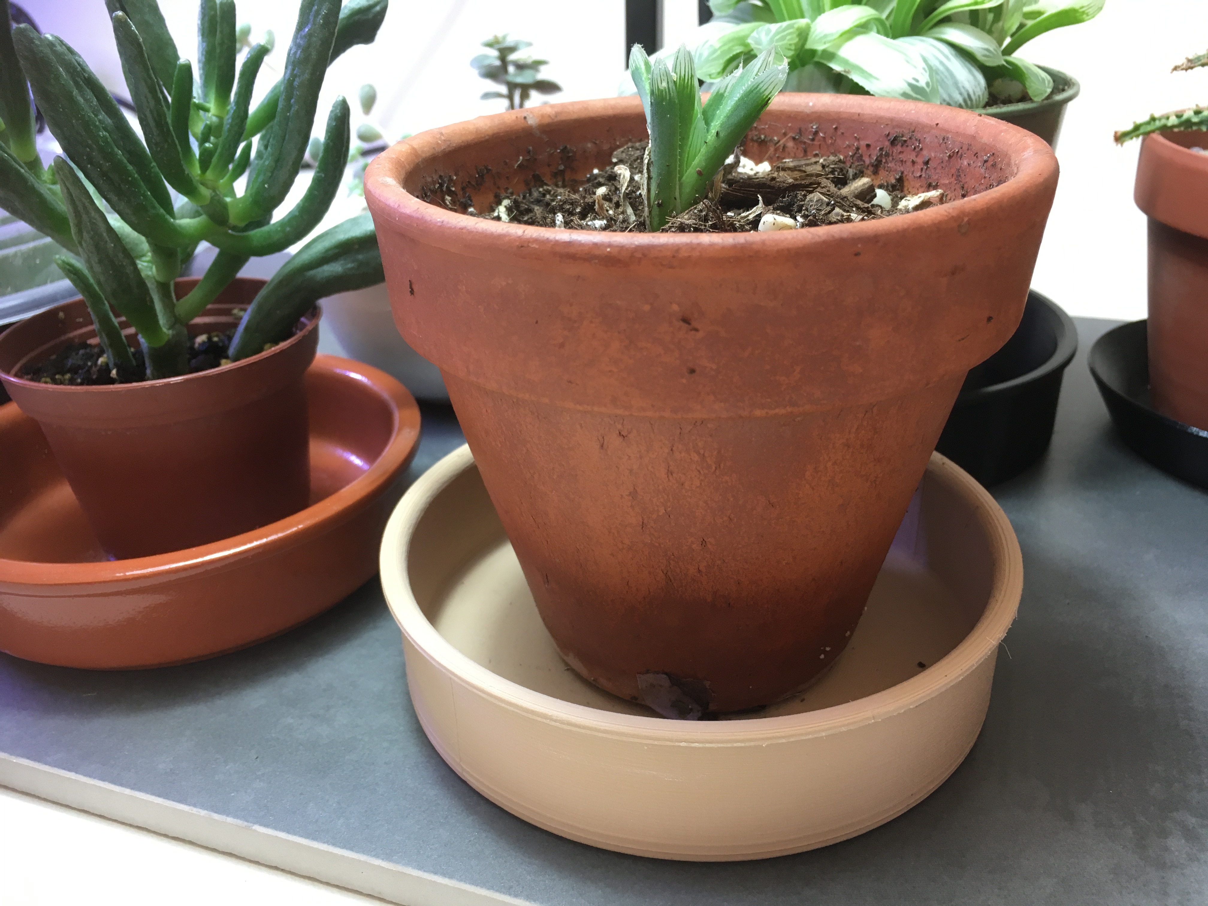 Pot Base - Edged Dish - Steep-sided Bowl by Brad Grier | Download free ...