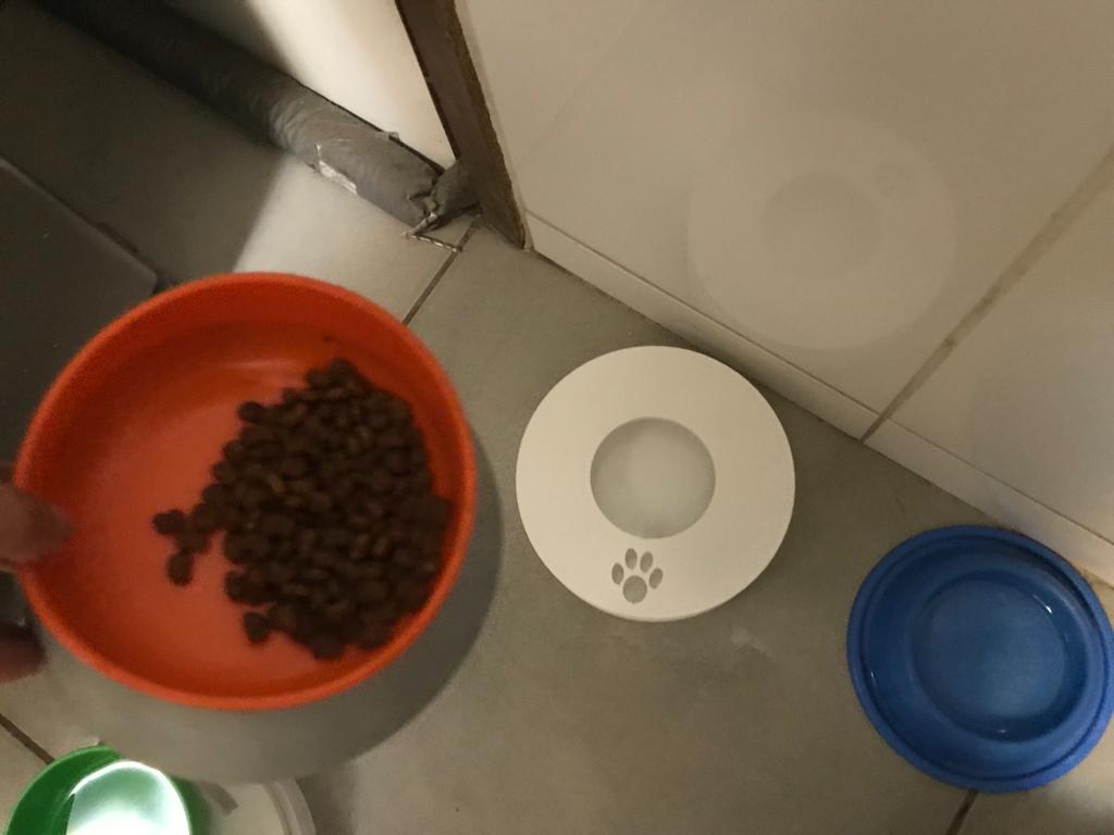 ANT AWAY - Anti-Ant Pet Bowl Stand by Fernanda Ramos - TimeLapse para ...