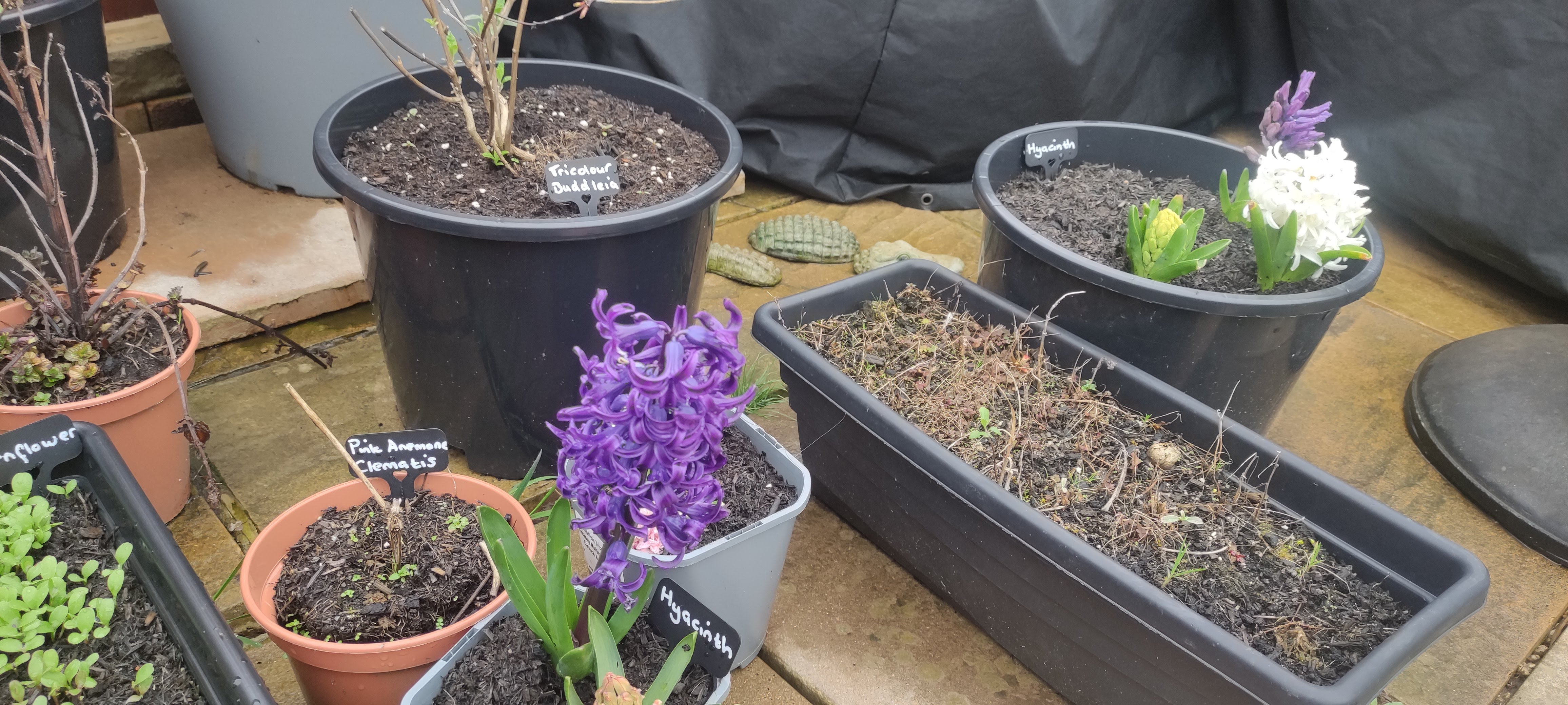 Plant Labels - Fast & Easy Print by keebs | Download free STL model ...