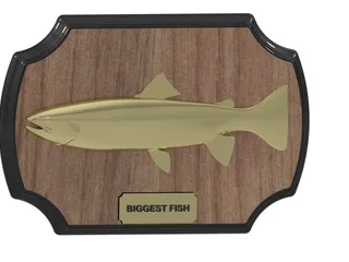 Fishing Trophy by Garage_Tinkerer | Download free STL model ...